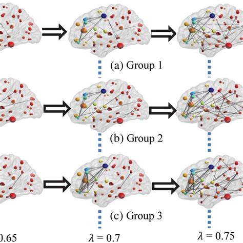 The Constructed Multiscale Brain Networks Using Our Proposed Methods
