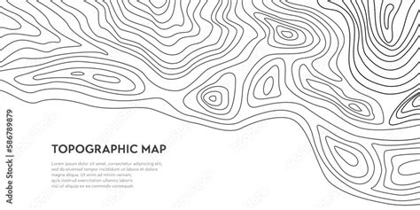 Topographic Map Grid Relief Contour Of Mountain Terrain Lines Vector