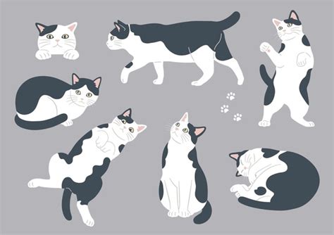 Cat Standing