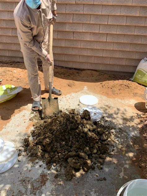 Camel Manure Decomposition Project Arkbiodivcom