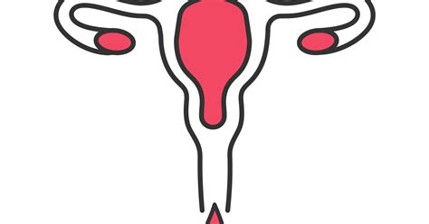 Vaginal Bleeding After Sex Meaning Causes And Diagnosis