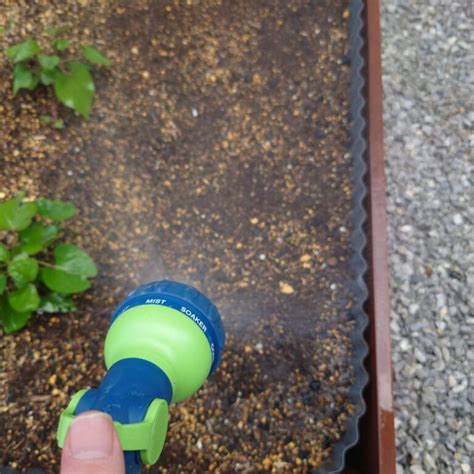 なぜ水やりが重要なのか？：家庭菜園における水やりの基本 しま農研