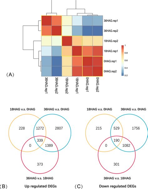Pearson Correlation Coefficients Between Samples And Degs Download Scientific Diagram