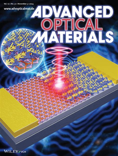Polarization‐sensitive Self‐powered Photodetector Based On Anisotropic