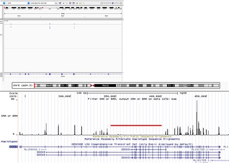 Whole Exome Sequencing Visualization On Integrative Genomics Viewer Download Scientific Diagram
