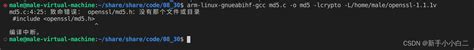 openssl库交叉编译，最详细！ openssl 交叉编译 csdn博客