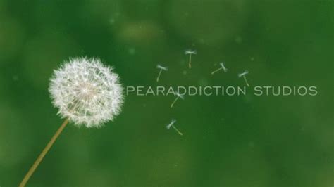 Pearaddiction Clip Store Clips4sale