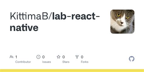 Github Kittimab Lab React Native