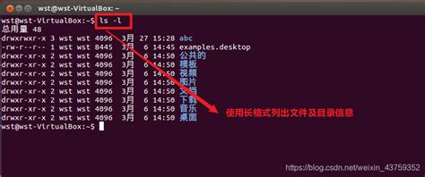 Linux常用的命令总结（一）——ls命令与cd命令cd Ls Csdn博客