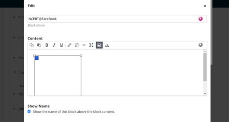 Insert Of Image In Custom Block Manager Software Support Pkp