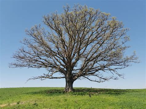 Edge Ecosystems Home