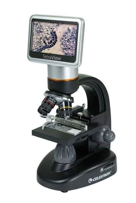 Hanaa Fayed Posted On Linkedin