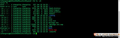 Linux权限问题chmod 111 Csdn博客