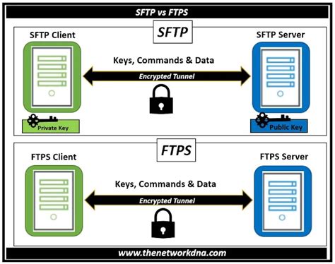 Ftps Vs Sftp Which One Is Right For You The Network Dna