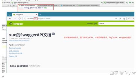 Swagger配置扫描接口及开关 SpringBoot中 知乎