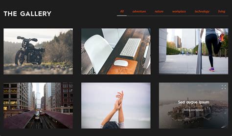 Image Video Gallery Livemesh Addons For Elementor