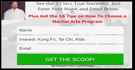 Web Martial Arts Management System