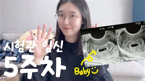 임산부vlog 첫 초음파 벌써 5주차요 아기집 보고왔어요🥹 보건소 임산부 등록 선물 Youtube