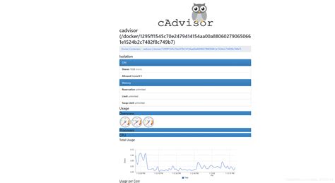 docker 容器监控cadvisor prometheus grafana cadvisor push csdn博客