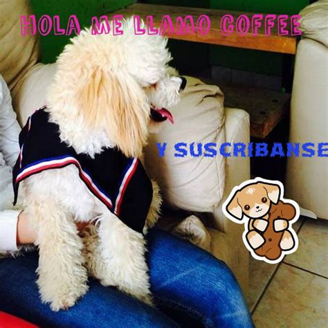 Nipau Xd Youtube