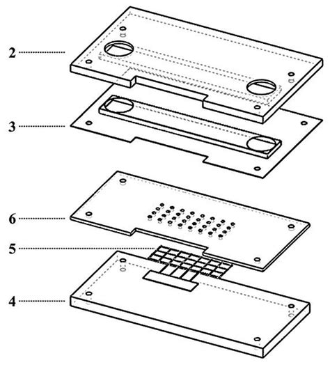 High Throughput Cell Electrofusion Microfluidic Chip Device Based On