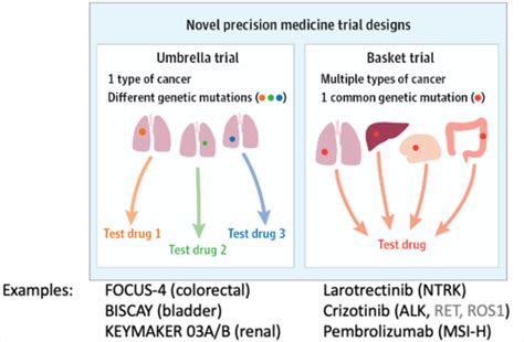 Protocol Design Flashcards Quizlet