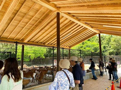 〈奈良市〉産まれたての赤ちゃん鹿に会いに行こう♪ 親子鹿の一般公開が開始！（7 14まで） 奈良の地域密着型・総合情報サイト