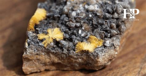 Depleted Uranium Exposure In Veterans Symptoms Risks And Va Benefits Hill And Ponton P A