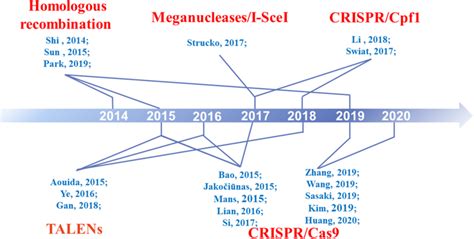 The Development Of Multiplex Genome Editing Technologies In S