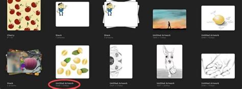 How To Name Files And Stacks In Procreate Adventures With Art