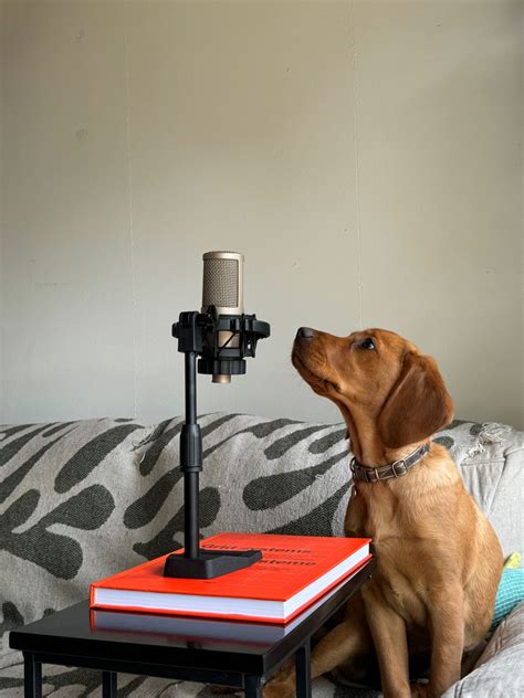 Mainframe Society On Linkedin Doam Msmovement Mainframesociety