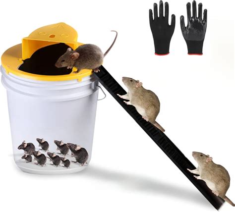 Second Generation, Flip n Slide Bucket Lid Mouse Trap - Indoor Outdoor, 5 Gallon Bucket ...