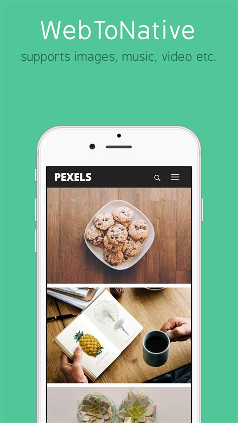WebToNative Advanced IOS WebView Application IPhone IPad By ScriptWriters