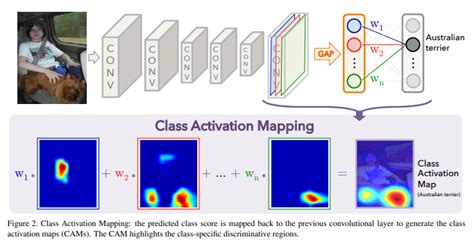 Ficklenet Weakly And Semi Supervised Semantic Image Segmentation Using