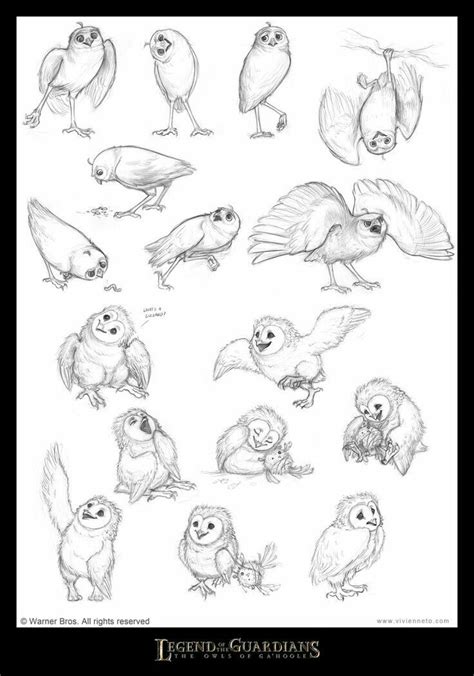 The Art Of Legend Of The Guardians The Owls Of Ga Hoole Artofit