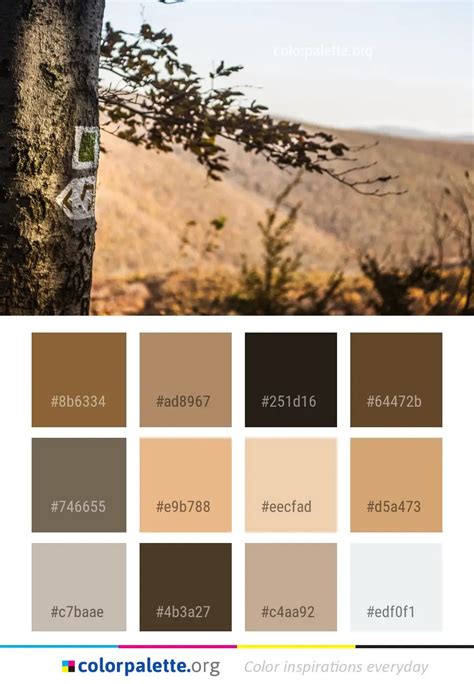 Sky Tree Landscape Color Palette