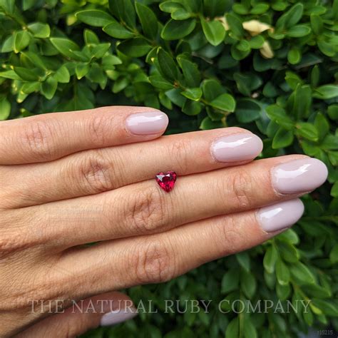 Loose Ruby Heart 122 Ct R15215 The Natural Ruby Company
