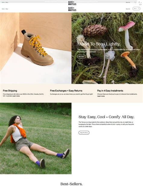 ECommerce Website Design Gallery Tech Inspiration With Shops Ecommerce Website Design