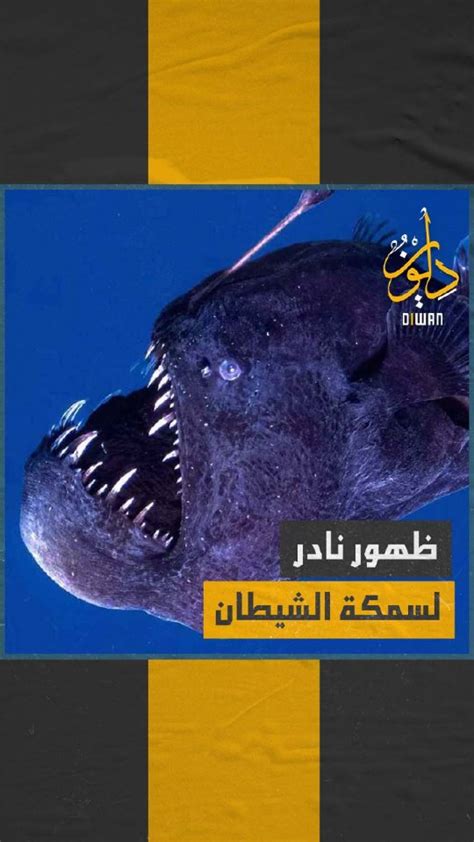 ‎ديوان‎ ‎عارية في غرامي مشهد صادم لزوجة الرابر الأمريكي كانييه