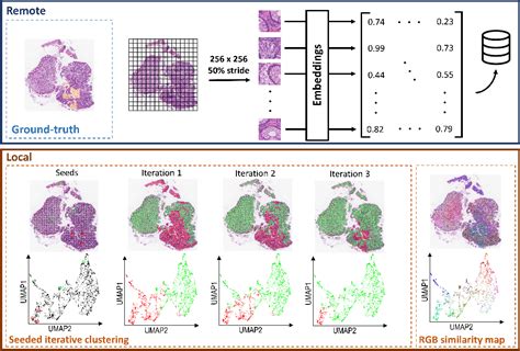 Seeded Iterative Clustering For Histology Region Identification Paper