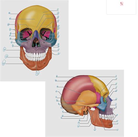 Part 2 Diagram Quizlet