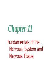 Ch Fundamentals Of The Nervous System And Nervous Tissue Pptx Chapter Fundamentals Of