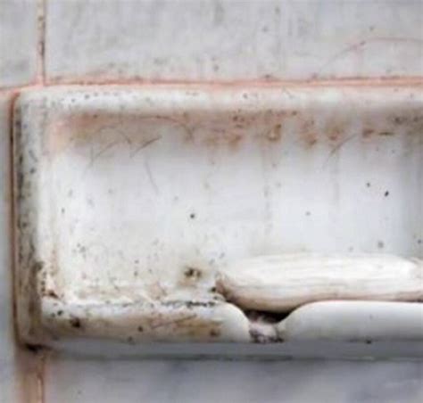 변기 속 분홍색 얼룩 곰팡이 아냐” 폐렴 유발할 수도정체는﻿ 인스티즈instiz 이슈 카테고리