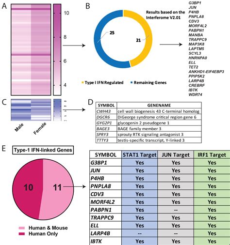 Sex Associated Early Life Viral Innate Immune Response Is Transcriptionally Associated With