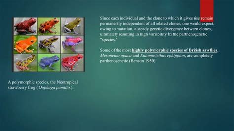 Speciation Types And Role Of Ecology In Speciation Pptx Genealogy