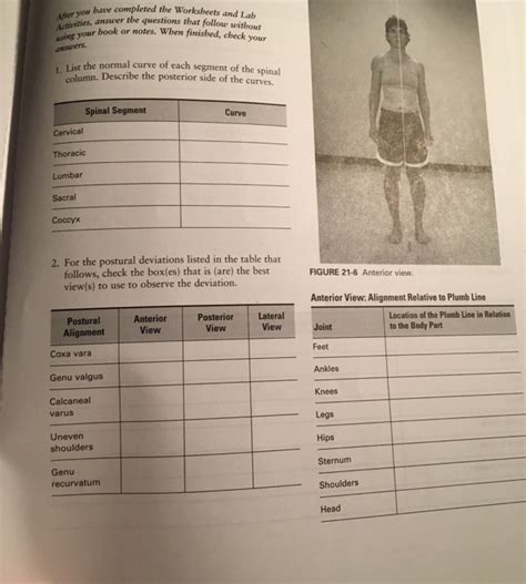 Solved List The Normal Curve Of Each Segment Of The Chegg