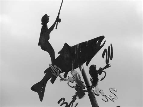 Fishing weather vane | Weather vanes, Fly fishing decor, Weathervanes