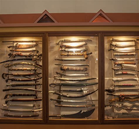 Whats On Tūhura Otago Museum
