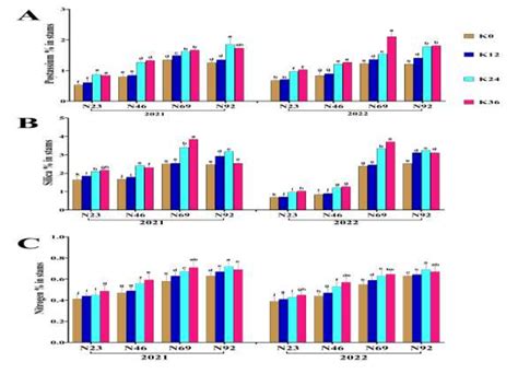 Figure 1 From Effect Of Potassium Fertilization Levels On Rice Yield