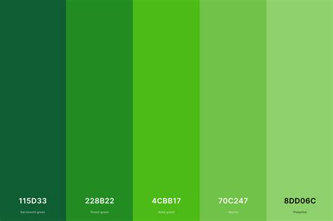 27 Kelly Green Color Palette Color Palette With Dartmouth Green Hex